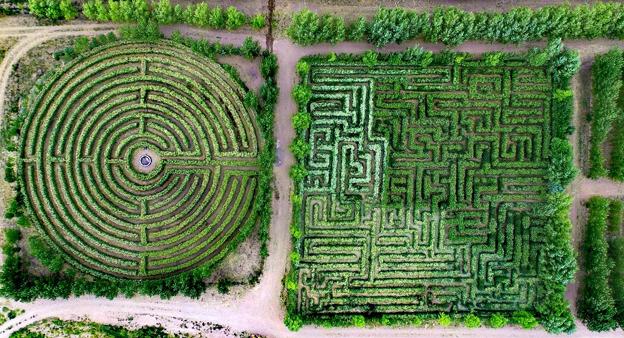 “Los laberintos” una nueva propuesta para descubrir