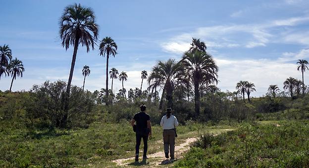 Parque Nacional El Palmar, una experiencia maravillosa en contacto real ...